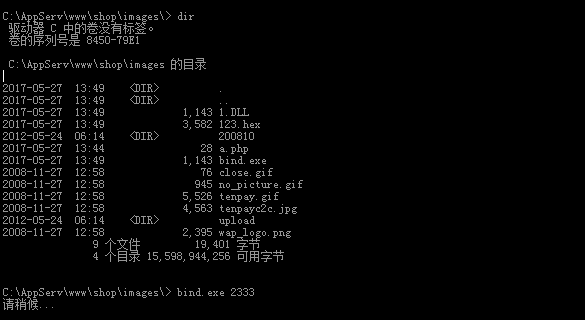 Some Ways To Create An Interactive Shell On Windows